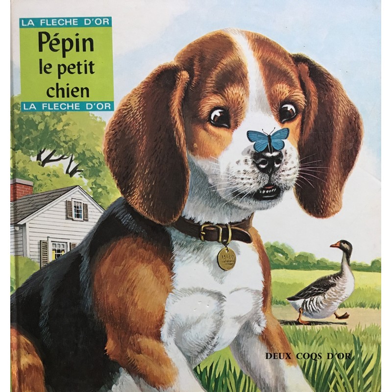 Pépin le petit chien